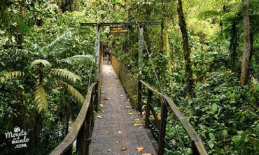 Paseos de 1 día en Costa Rica, qué actividades hacer